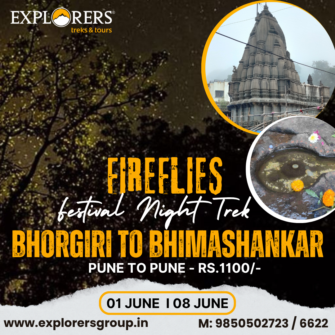 Bhorgiri to Bhimashankar Night Trek - Explorers Adventure Treks & Tours ...